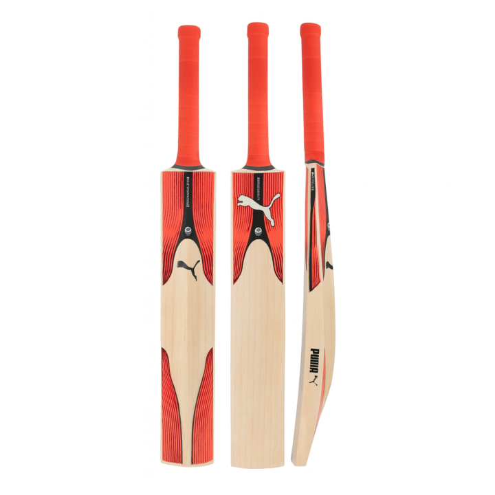Puma Kashmir Willow Cricket Bat – Premium Quality